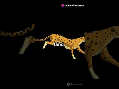 "Cheetah vs. Peregrine Falcon: Who's the REAL Speed King?" #facts #science #animalkingdom #animals
