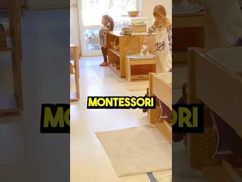 Differences between Reggio Emilia and Montessori school? #earlychildhoodeducation #preschoolteaching