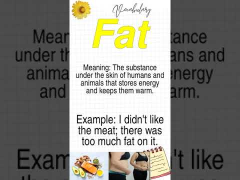 IELTS Vocab #102 Fat #Shorts