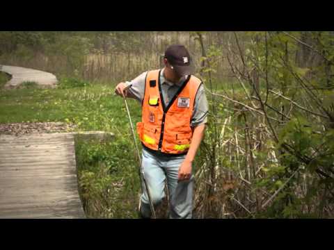 Wetland Delineation