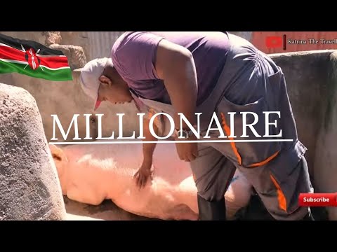 How Pig Farming Is Making Kenyans Millionares,BEGINNERS Must watch.