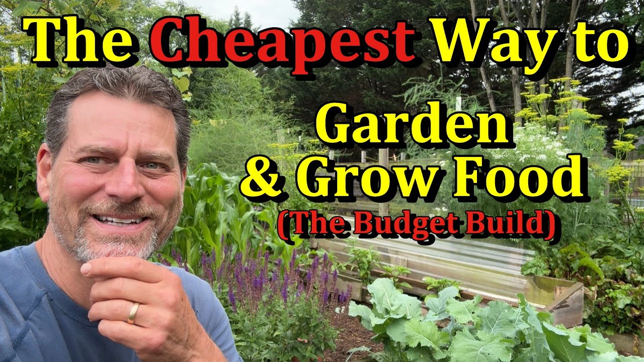 Building a Vegetable Garden on a Budget (Cheap, Easy, & Effective)