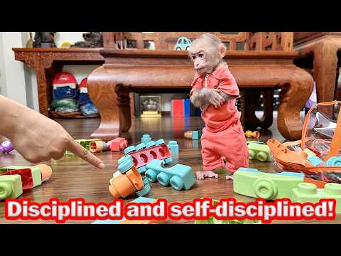 Lala is taught to be self disciplined and responsible in cleaning up toys after playing!