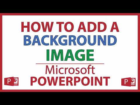 Microsoft PowerPoint: How To Add A Background Image In PowerPoint | 365 | 👍