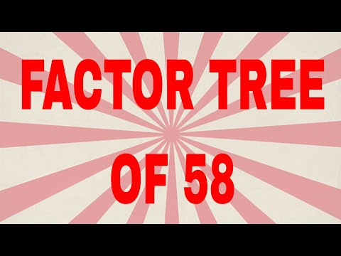 Factor tree of 58|Prime factor tree