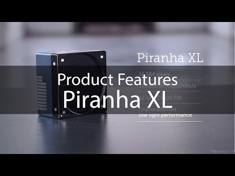 Introducing the Piranha XL