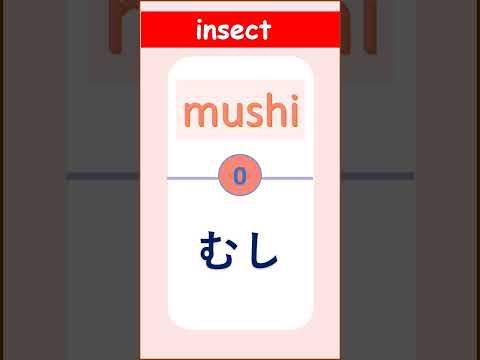 Let's Practice words using alphabets ma mi mu me mo  #learning #language #japanesealphabet