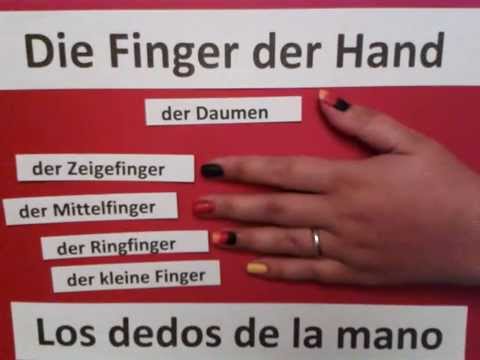 Die Finger der Hand – los dedos de la mano | Aprende alemán con Thomas