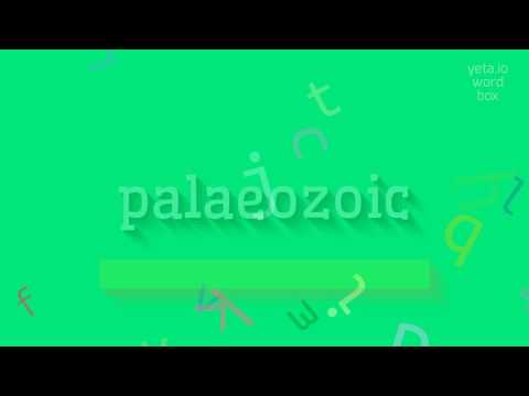 How to say "palaeozoic"! (High Quality Voices)