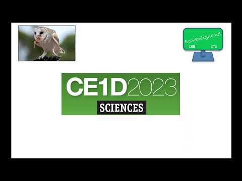 CE1D 2023 Sciences - question 3 + corrigé