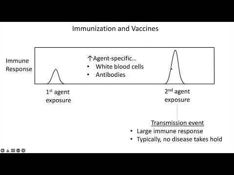 Vaccine Efficacy, Effectiveness and Coverage
