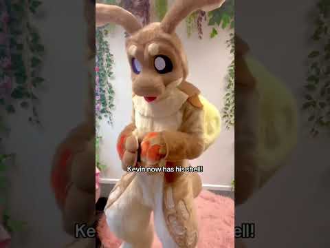 Kevin the snail has a shell!! #furry #cosplay #fursuit