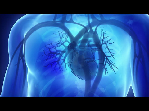#TomorrowsDiscoveries: Preventing Heart Failure – David Kass, M.D.