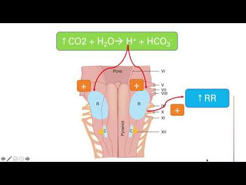 HAPPY/SILENT HYPOXIA: WHY COVID-19 DEFIES THE NORM