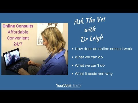 How To Use An Online Vet with Your Vet Online