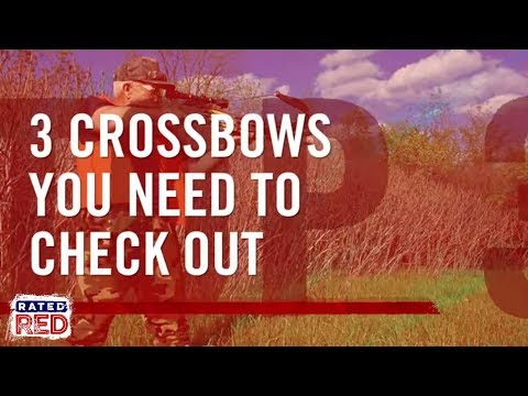 On the Hunt for a Good Crossbow?