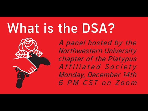 "What is the DSA?" (12/14/20 panel)