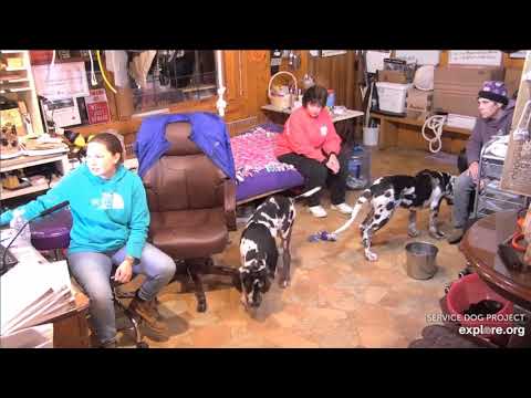 SDPMC tr talk Haley 11112019 non mail call Hi Pam Diane Verena Vollkommene