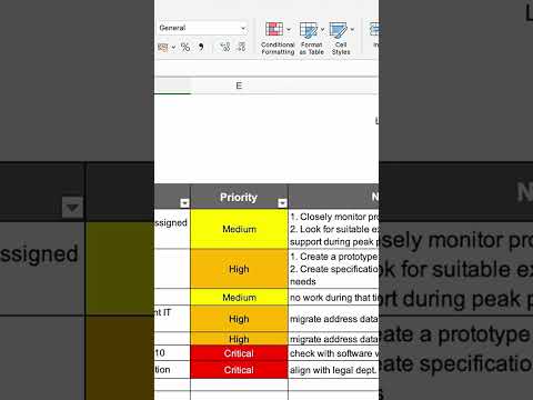 RAID Log of a real project #projectmanagement #templates #exceltemplates