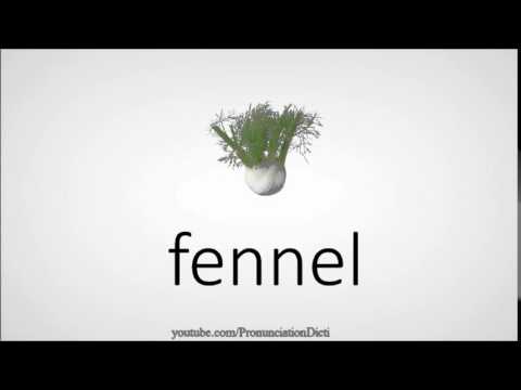 How to pronounce fennel
