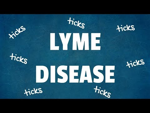 Lyme Disease: 10 Interesting Facts