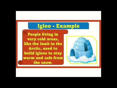🏠 Learn About Different Types of Houses! 🏠