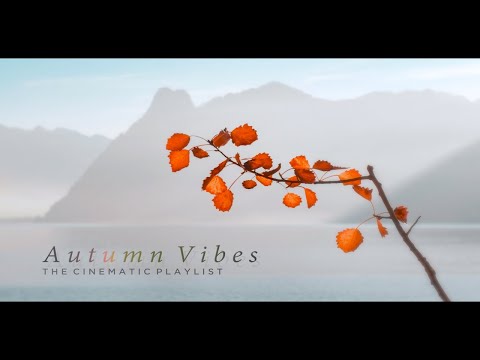 ???????????????????????? ???????????????????? ● A Cinematic Voyage through the Season ● Tranquil Piano & Orchestral Playlist