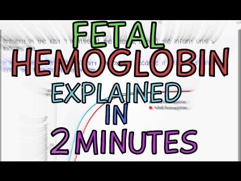 Fetal Hemoglobin - Foetal Haemoglobin - Explained in 2 Minutes!!