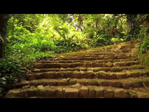Entebbe Botanical Gardens