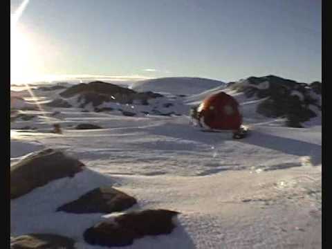 Auster Emporer Penguin Rookery