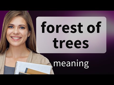 Understanding "Forest of Trees": A Guide for English Learners