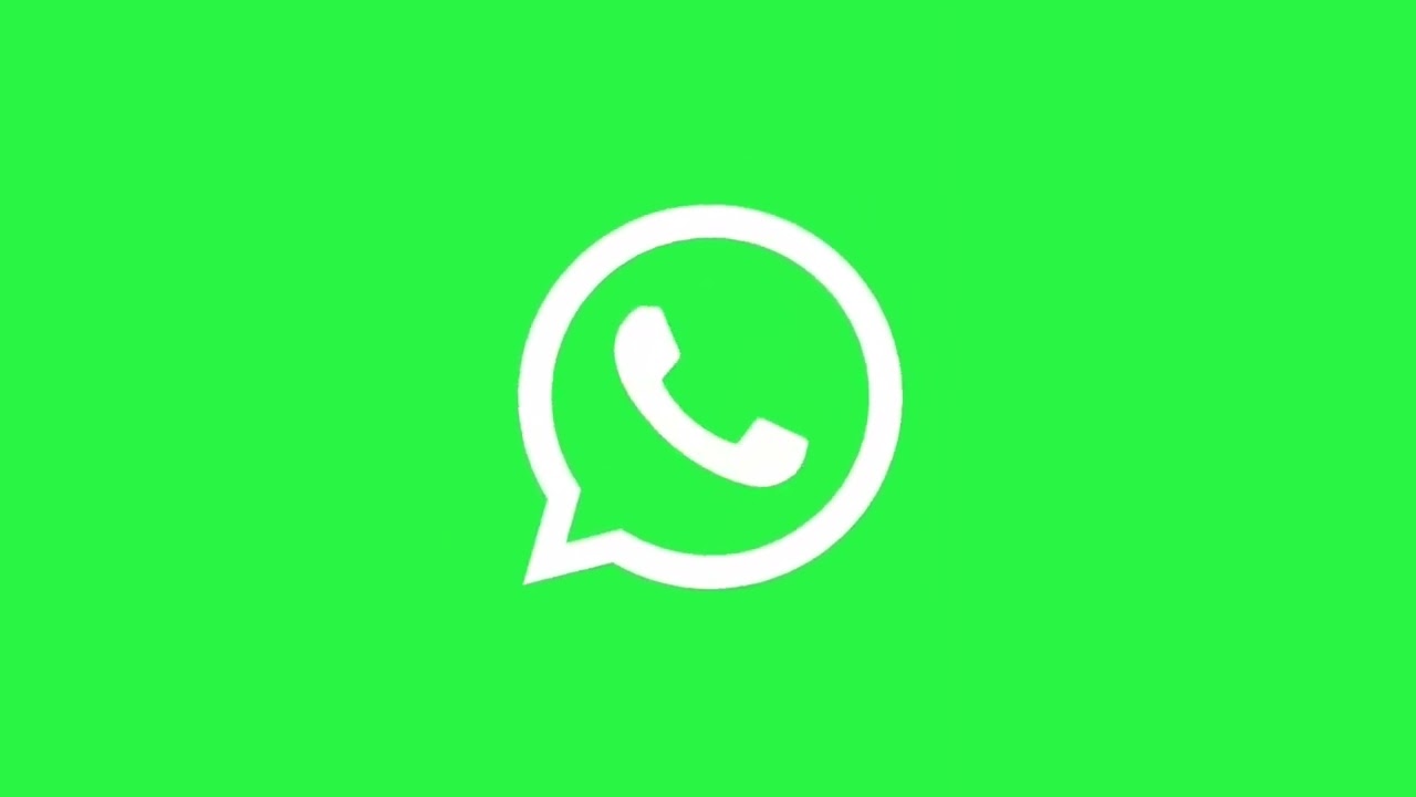 Whatsapp logo animation 60FPS