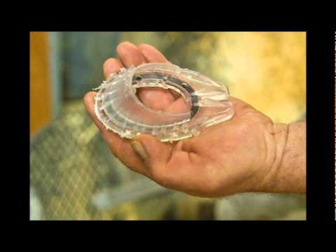 Foal extensions – Farrier Blog