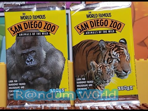 San Diego Zoo Trading Cards #sandiegozoo #zoo #Guessinganimals