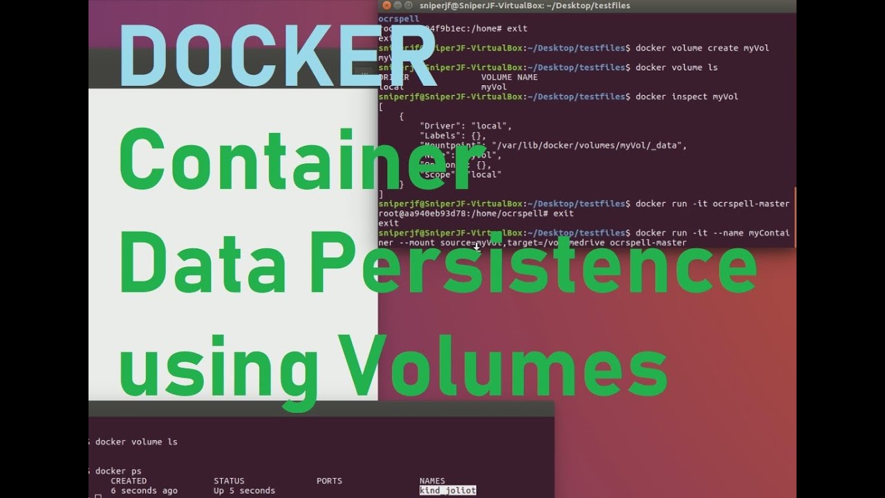 Docker: How to maintain data Persistence between different container runs using Volumes