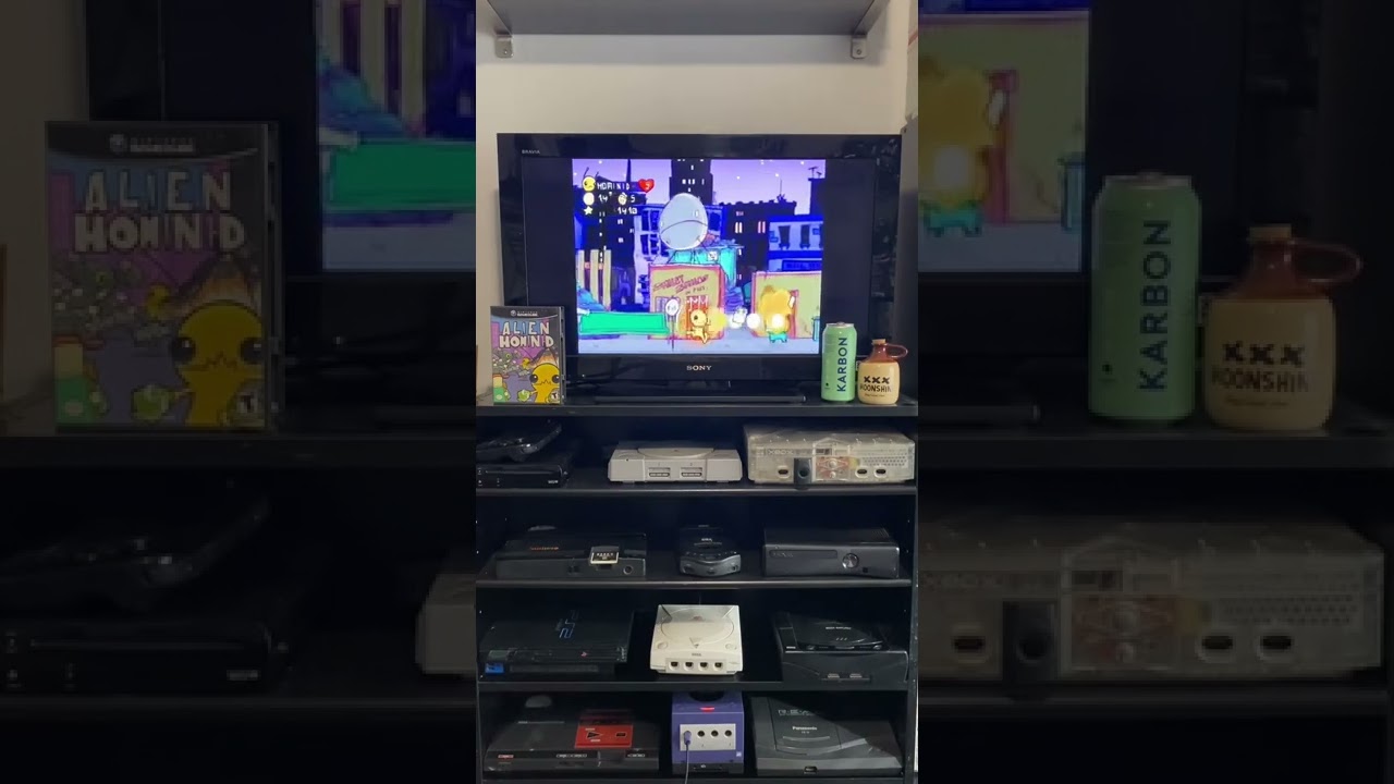 Did You Know This Newgrounds Flash Game Got A Physical Release On The Gamecube?