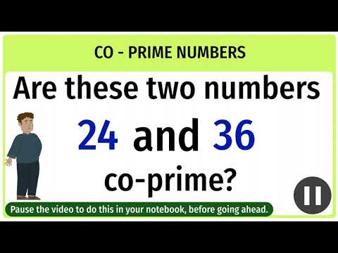 Learn | Co-Prime Numbers | Conceptual Maths Grade 5 | Animated Content