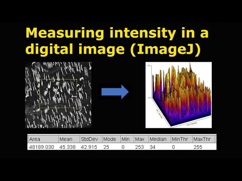 Measuring intensity in a digital image (ImageJ)