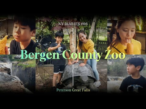 New Jersey Day Trip: Bergen County Zoo & Paterson Great Falls | NY Diaries #66