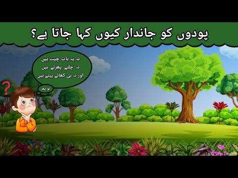 Why Are The Plants Considered Living Things? | Urdu/Hindi