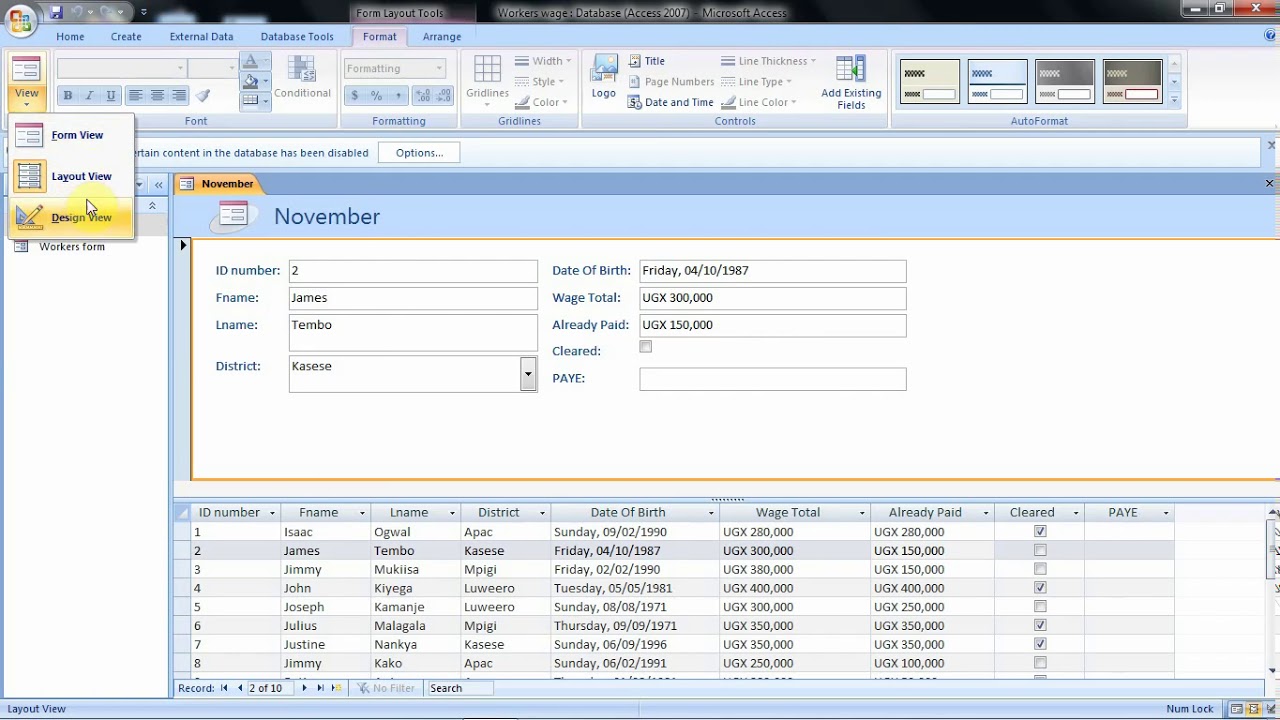 Creating forms using the split form and multiple form options