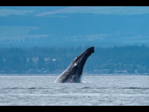Discover Wild Waterways Adventures