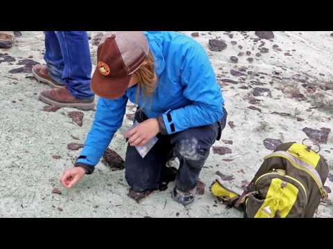 A Career in Paleontology and Archaeology Awaits You!
