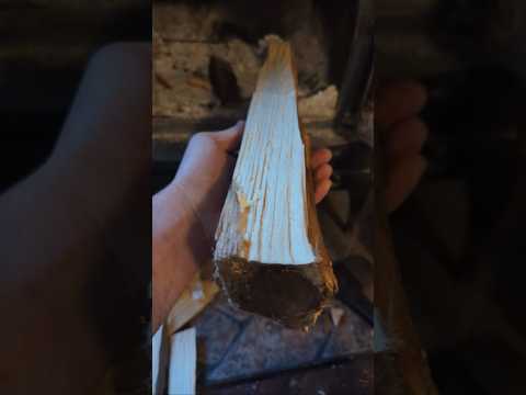 WHY THE DISDAIN with PINE FIREWOOD? #firewood #wood