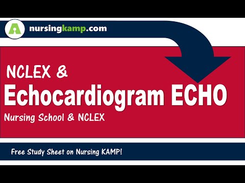 What is an Echocardiogram Procedure Echo TEE Trans Esophageal