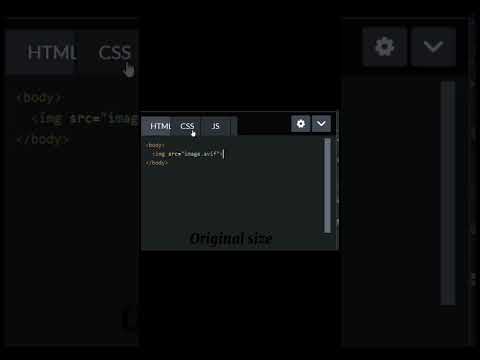 Resizing Images in HTML| Perfecting Your Web Design #webdevelopment #webdeveloper #codinglife