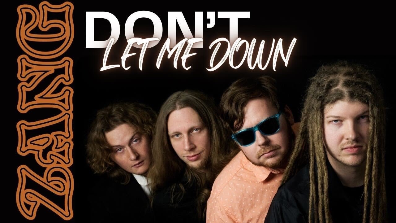 Hire Zang - Cover Band in Holly, MI | GigSalad