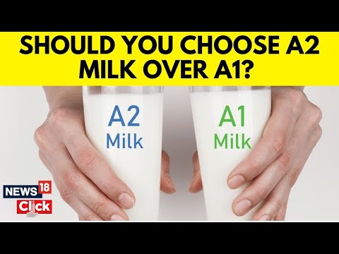 Is A2 Better Than A1 Cow Milk? Is One Better Than The Other? Let's Us Debunk It For You | N18G