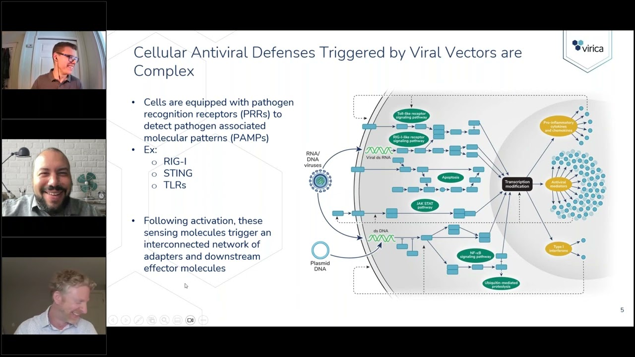 Viral Vector Manufacturing — Are Antiviral Defenses the Missing Link to Scalability