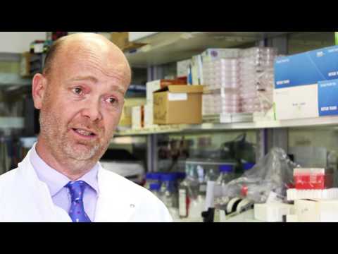Mapping metastatic breast cancer